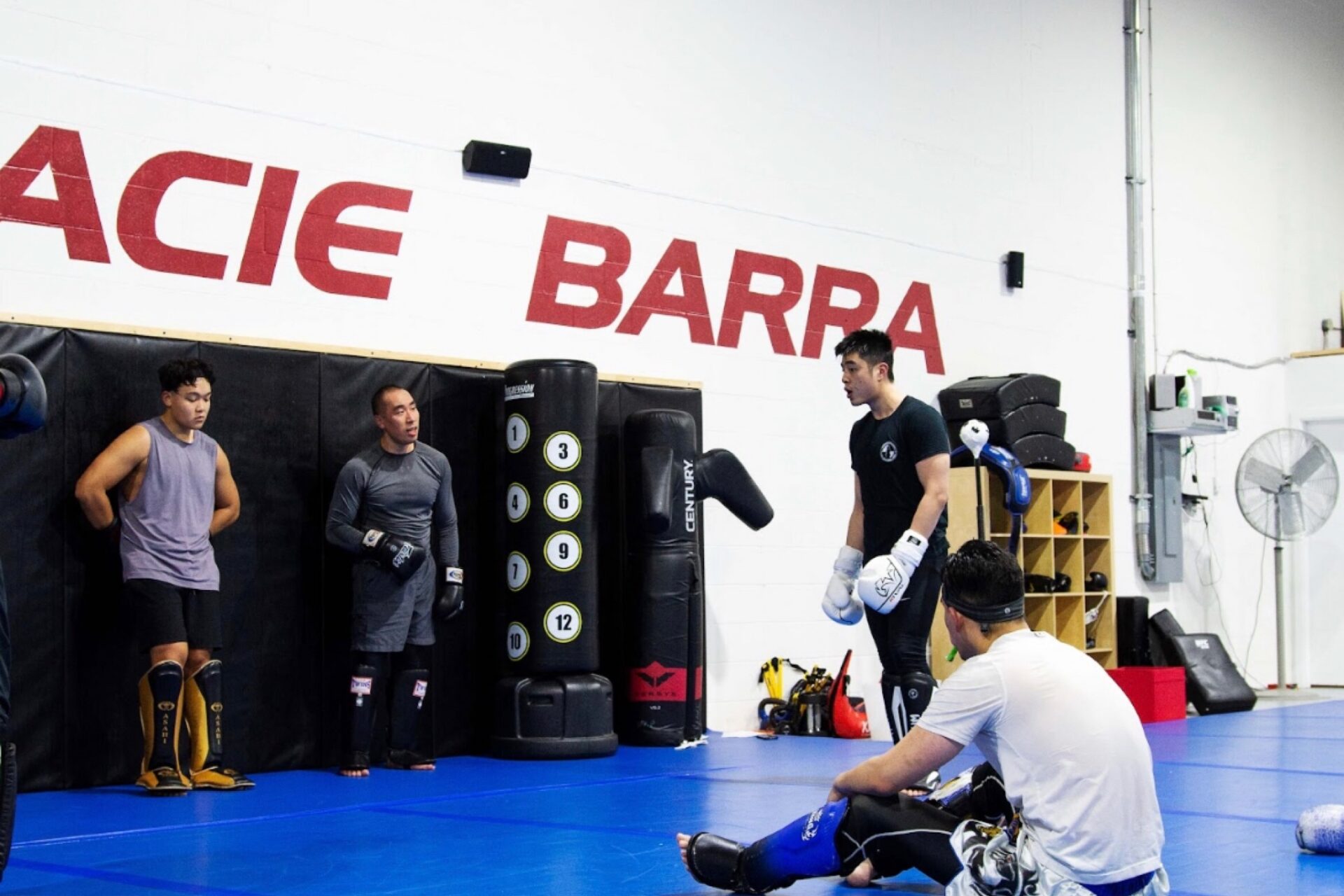 Art of Kickboxing – Sharing my knowledge and love for the expression of ...